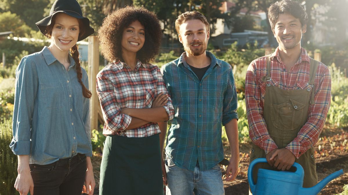 Patronage Dividends for Food Co-ops | Wegner CPAs