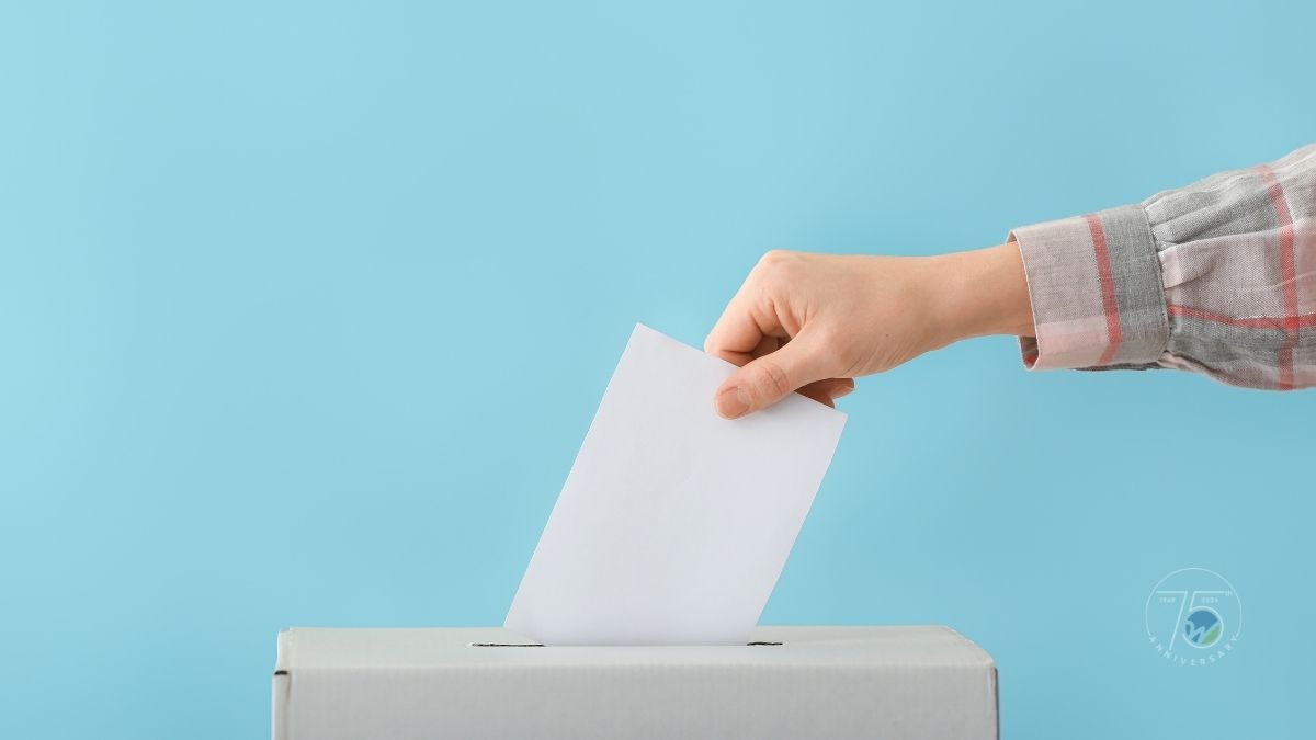 Potential Tax Implications of the November Election | Wegner CPAs