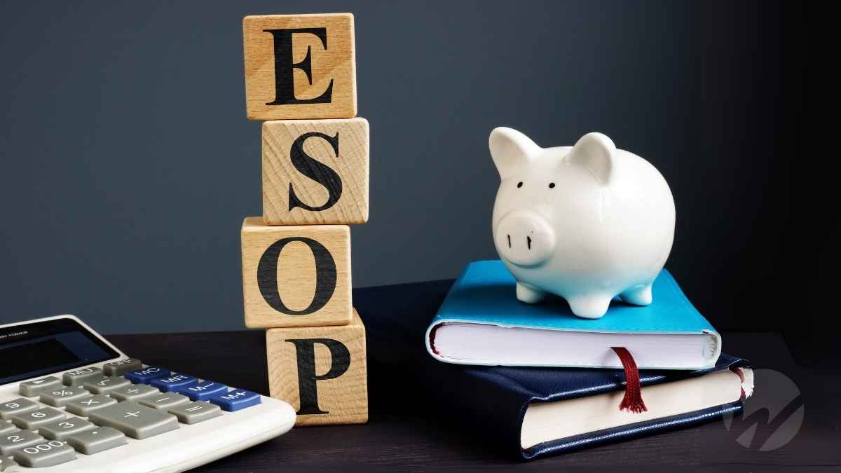 Introduction to Employee Stock Ownership Plans (ESOPs) | Wegner CPAs